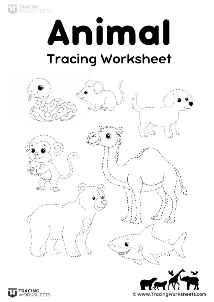 Animal Tracing Worksheets | +20 Animals Pictures