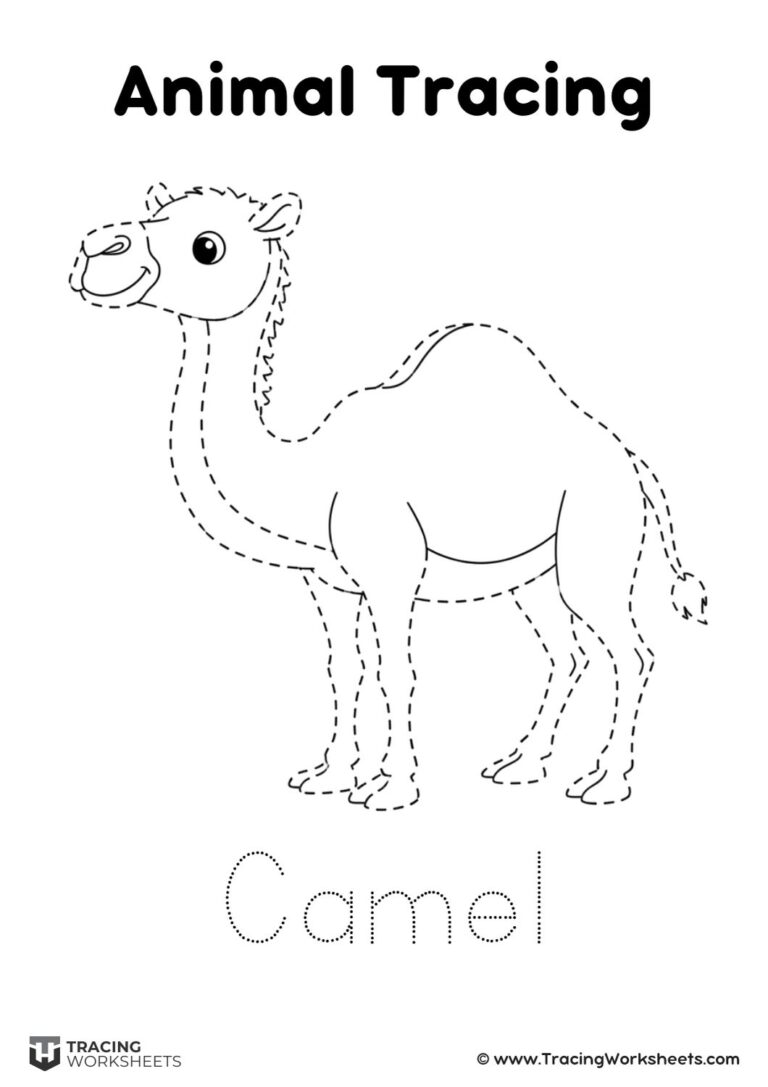 Animal Tracing Worksheets | +20 Animals Pictures