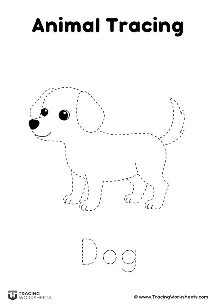 Cute Spring Tracing Activities: Lines, Animals & Flowers