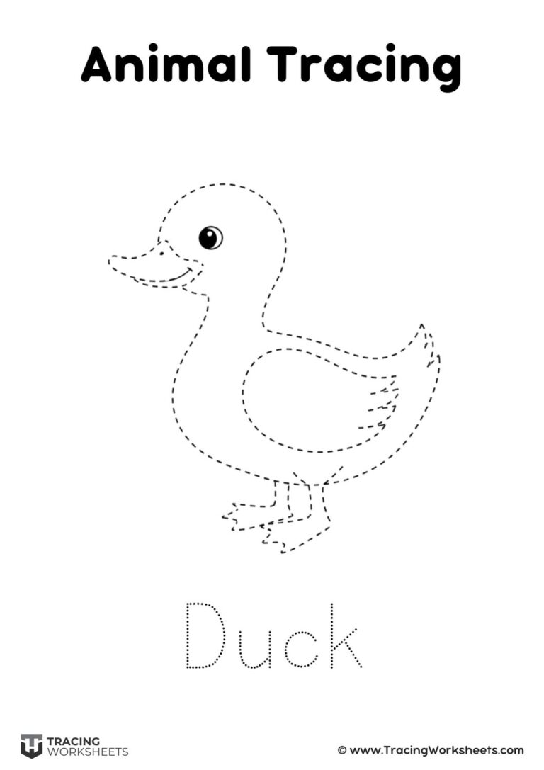 Cute Spring Tracing Activities: Lines, Animals & Flowers