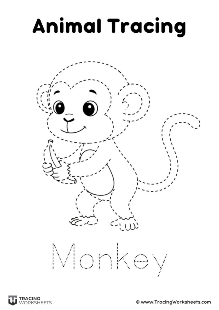 Animal Tracing Worksheets | +20 Animals Pictures