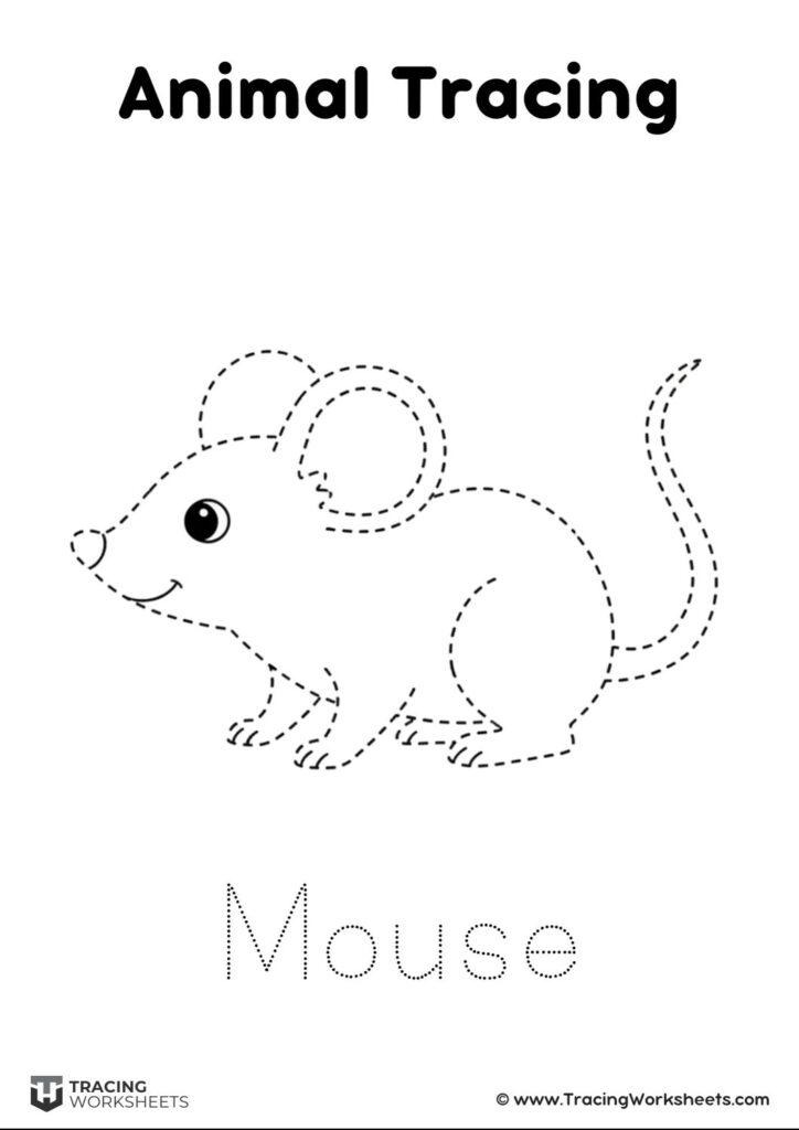 Animal Tracing Worksheets | +20 Animals Pictures
