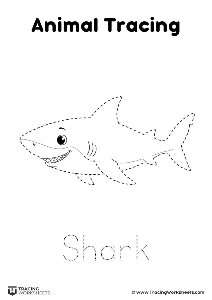 Animal Tracing Worksheets | +20 Animals Pictures