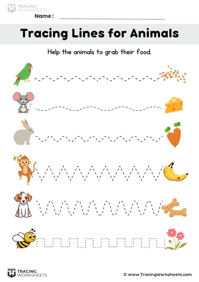 Animal Tracing Worksheets | +20 Animals Pictures