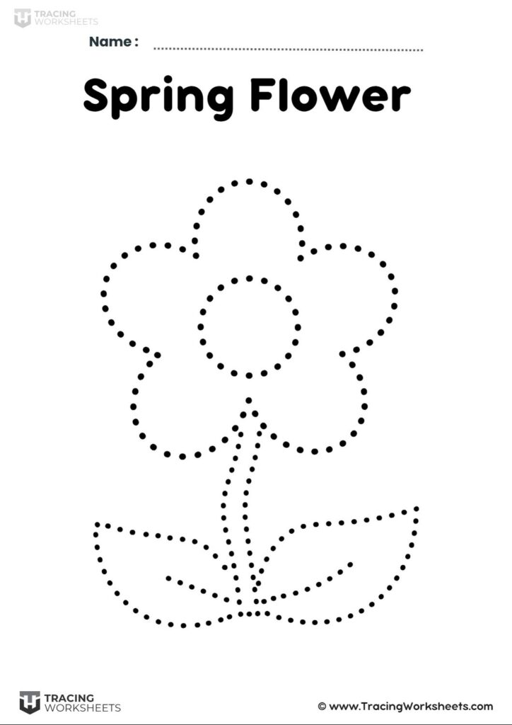 Cute Spring Tracing Activities: Lines, Animals & Flowers