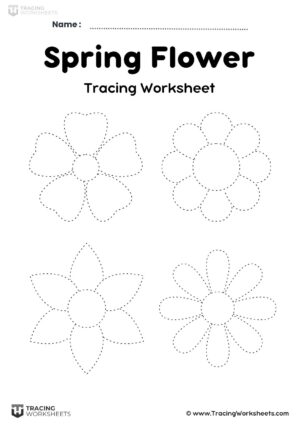 Cute Spring Tracing Activities: Lines, Animals & Flowers