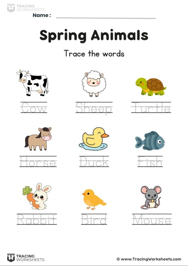 Cute Spring Tracing Activities: Lines, Animals & Flowers