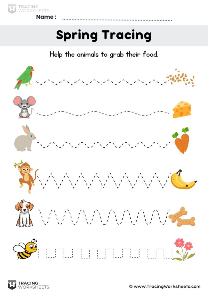 Cute Spring Tracing Activities: Lines, Animals & Flowers